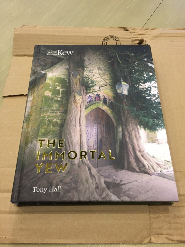 The Immortal Yew by Tony Hall – The Renaissance Gardener